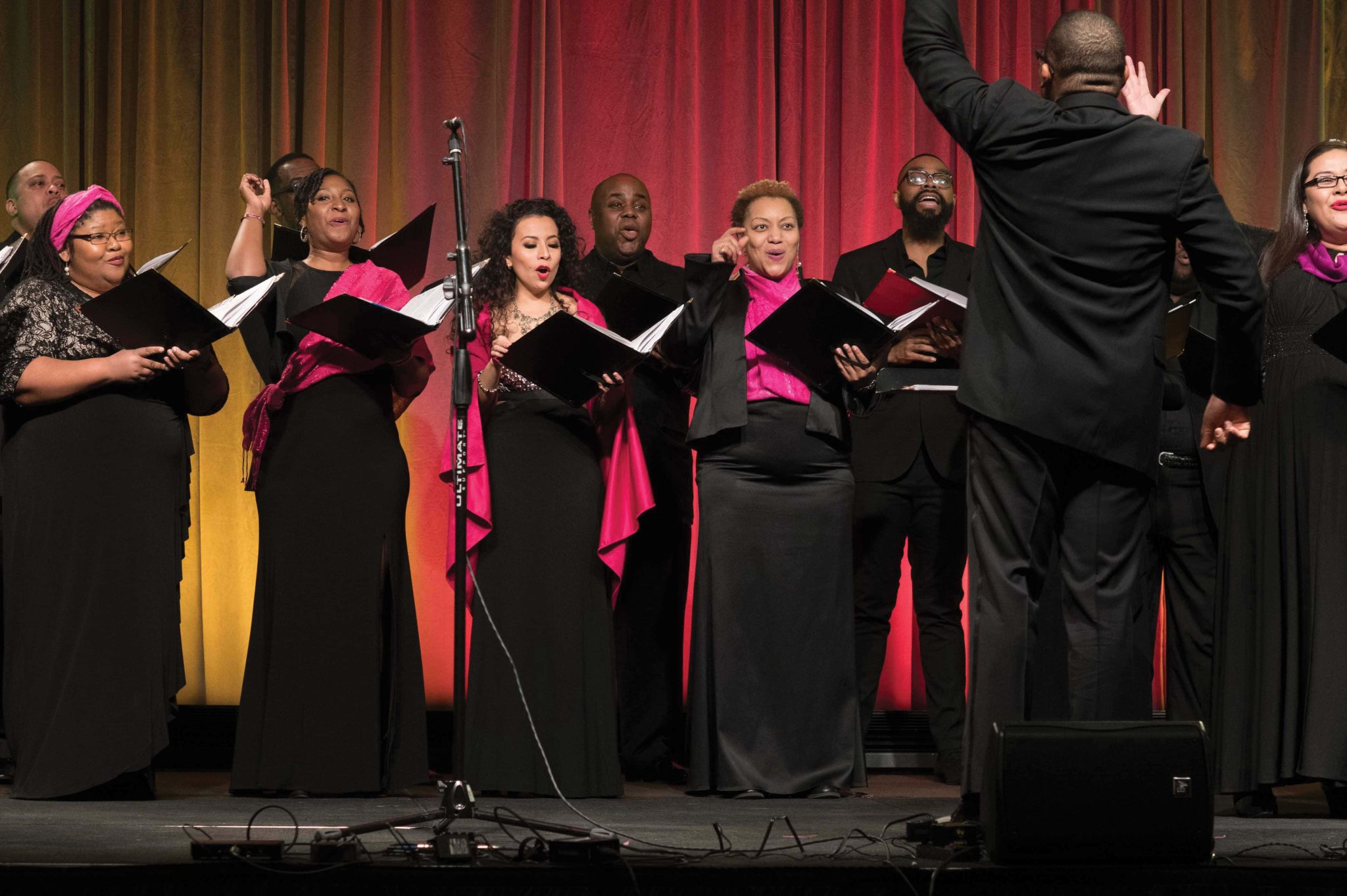 Albany Pro Musica - Voices Capturing the Human Spirit